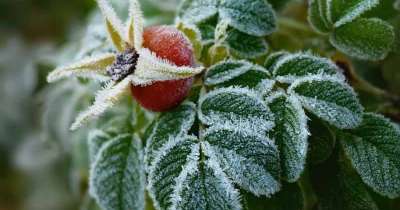 Үсік жүріп, қар жауады: Қазақстанның бірқатар облысында дауылды ескерту жарияланды Кей жерлерде ...