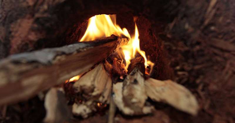 Алматы облысында бүтін бір отбасы уланып қалды: қаза тапқандар бар: 2 наурыз 2019, | KZNews.kz